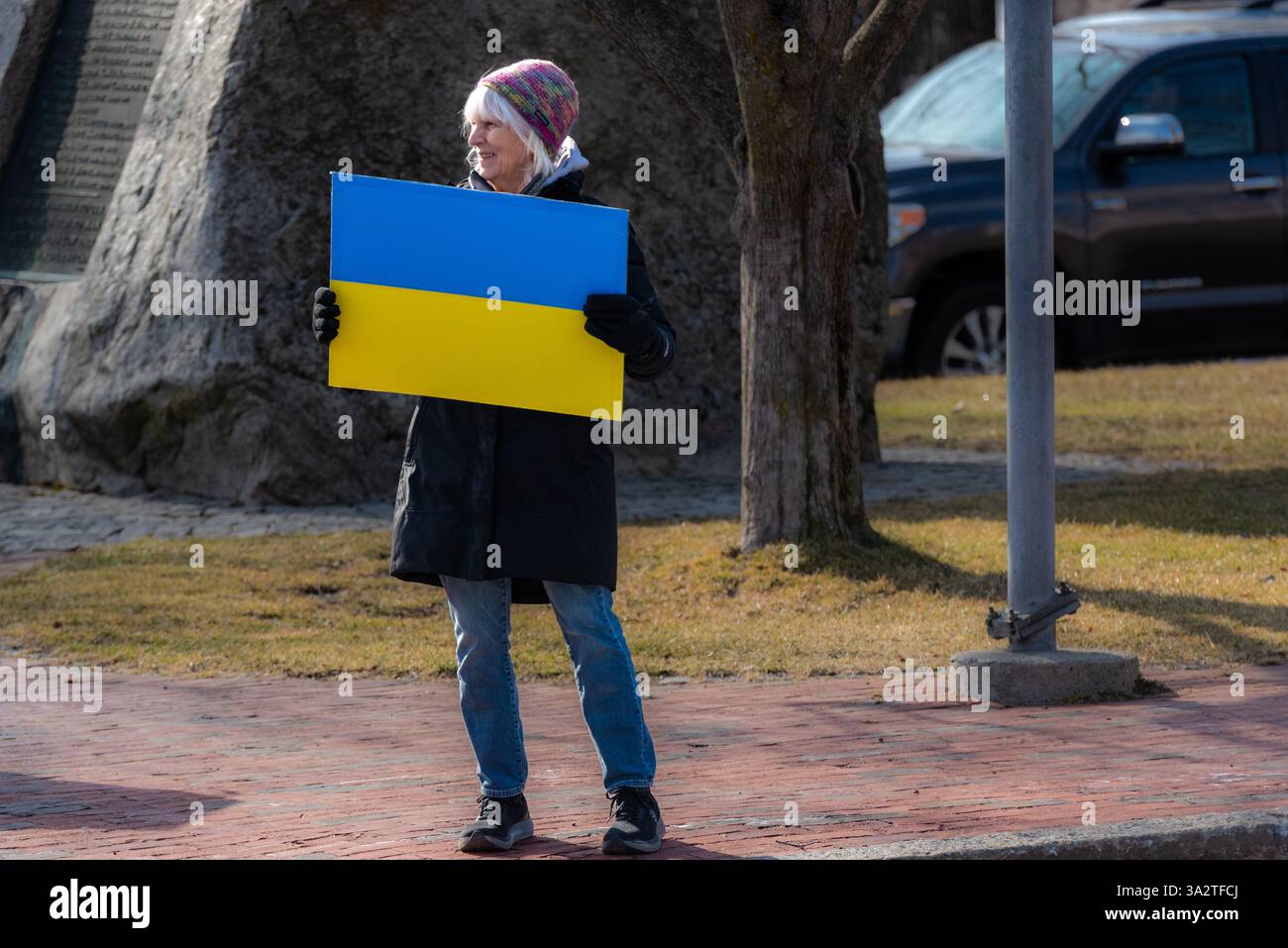 A group organized by Concord Indivisible, rallying in Concord Center ...