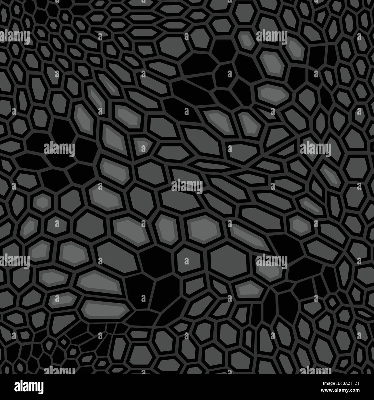 Camouflage snake Black and White Stock Photos & Images - Alamy