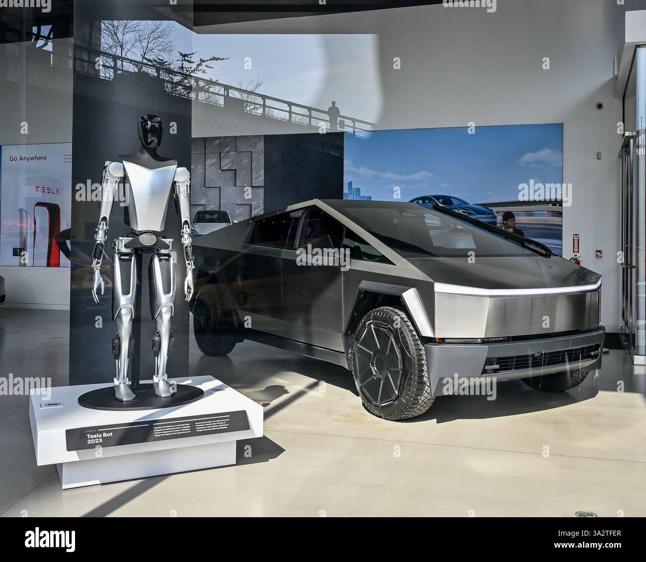 New York, USA. 13th Mar, 2025. A Tesla Bot and Tesla are on display as ...