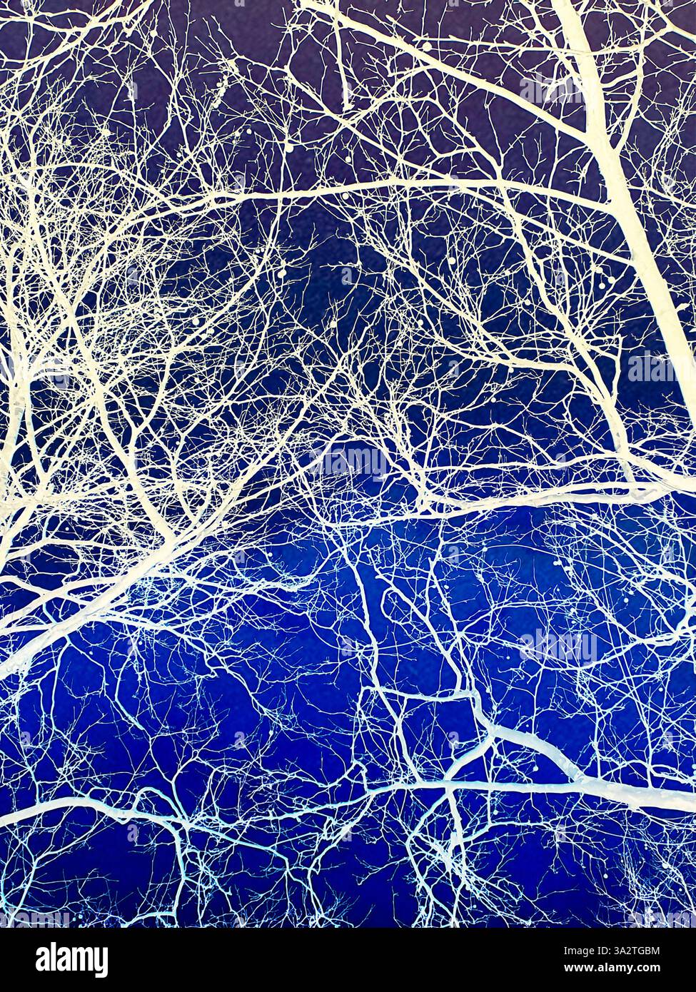 Reverse image of branches growing into each other Stock Photo - Alamy