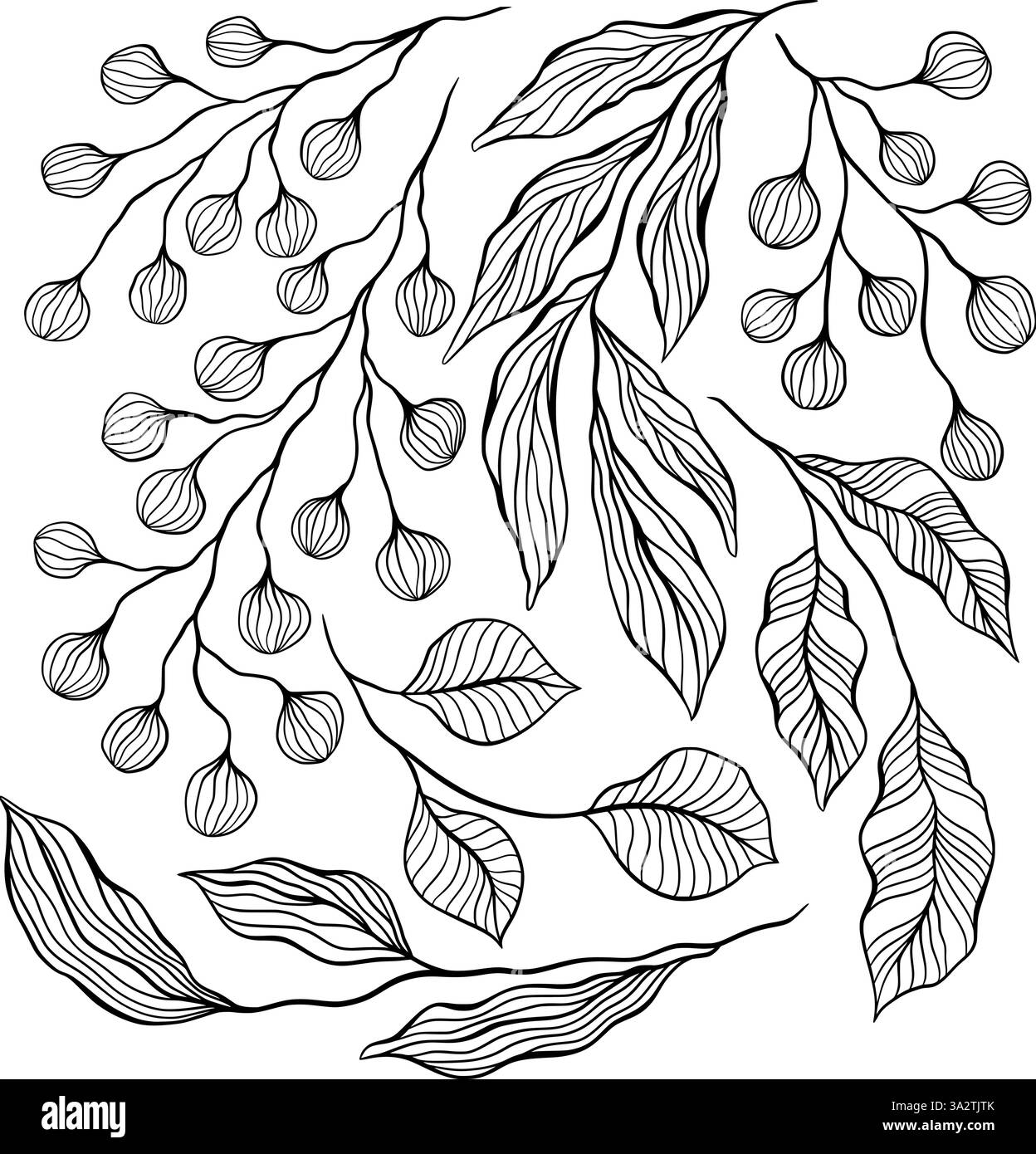 Abstract Delicate Line Art Leaves and Berries, Hand Drawn Botanical ...