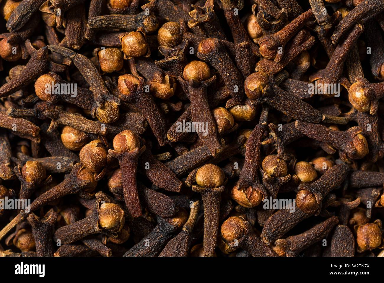 Organic Raw Brown Whole Cloves in a Bowl Stock Photo - Alamy