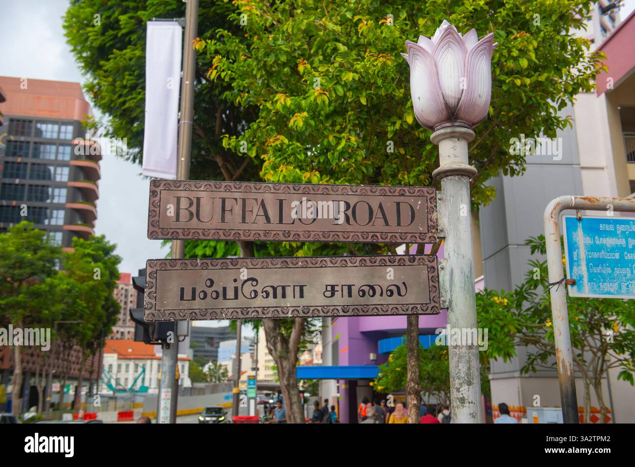Buffalo Road sign in both English and Tamil characters at Serangoon ...