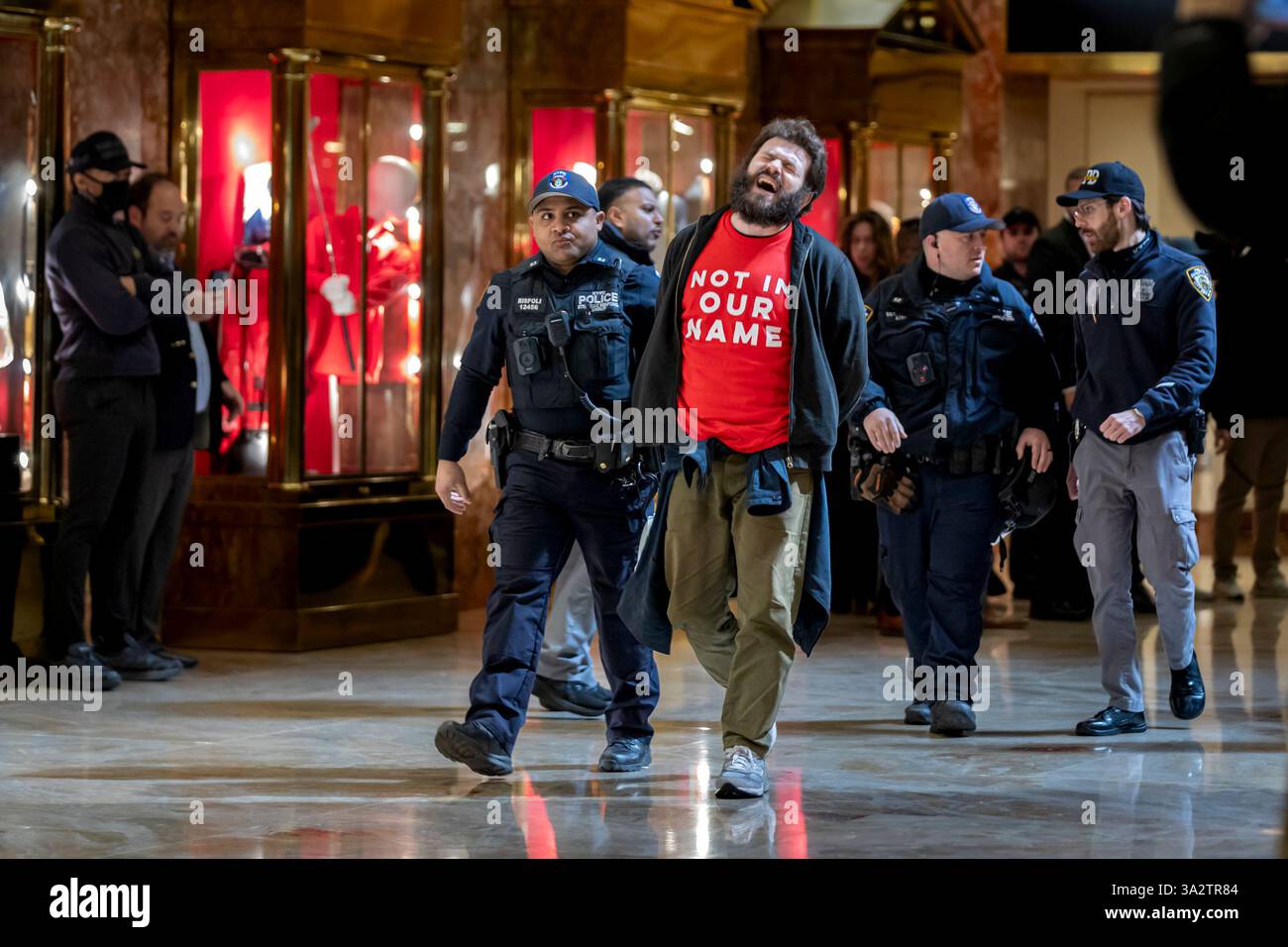?NEW YORK, NEW YORK - MARCH 1?3: Demonstrators are detained by NYPD ...