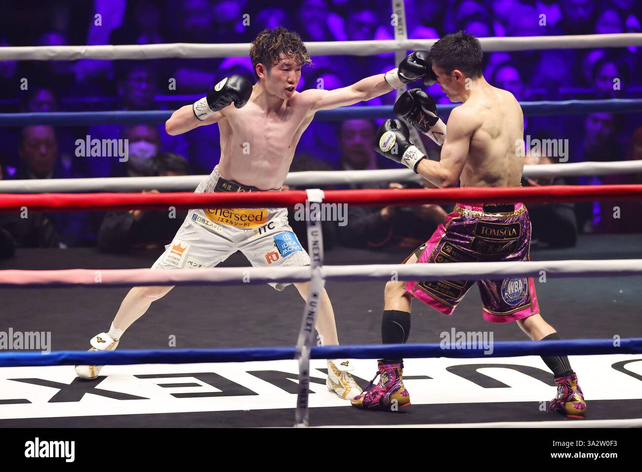 (L-R) Kenshiro Teraji, Seigo Yuri Akui (JPN), MARCH 13, 2025 - Boxing : WBC & WBA World ...
