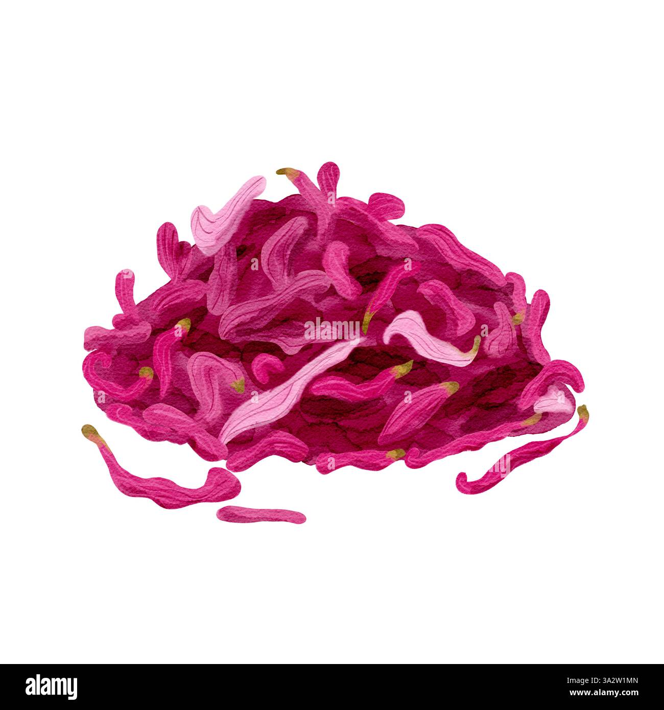 Inspiring compositions hi-res stock photography and images - Alamy