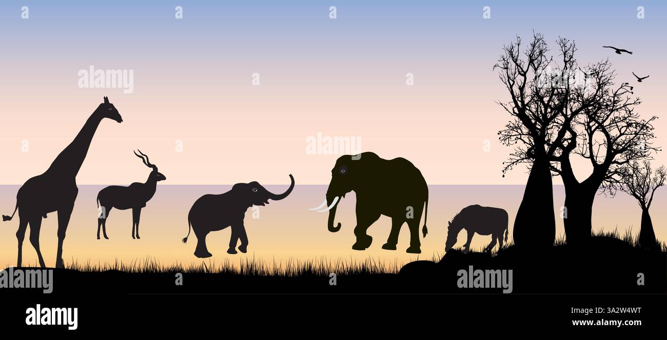 Silhouette of elephants, zebra,impala and giraffe against a sunset ...