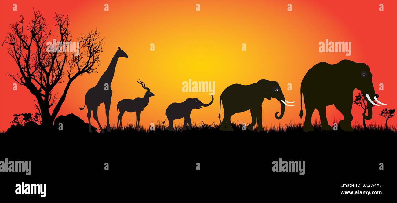 elephants, zebra, impala and giraffe against a orange sunset backdrop ...