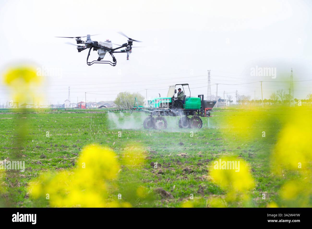 XINGHUA, CHINA - MARCH 13, 2025 - Farmers operate a plant protection ...