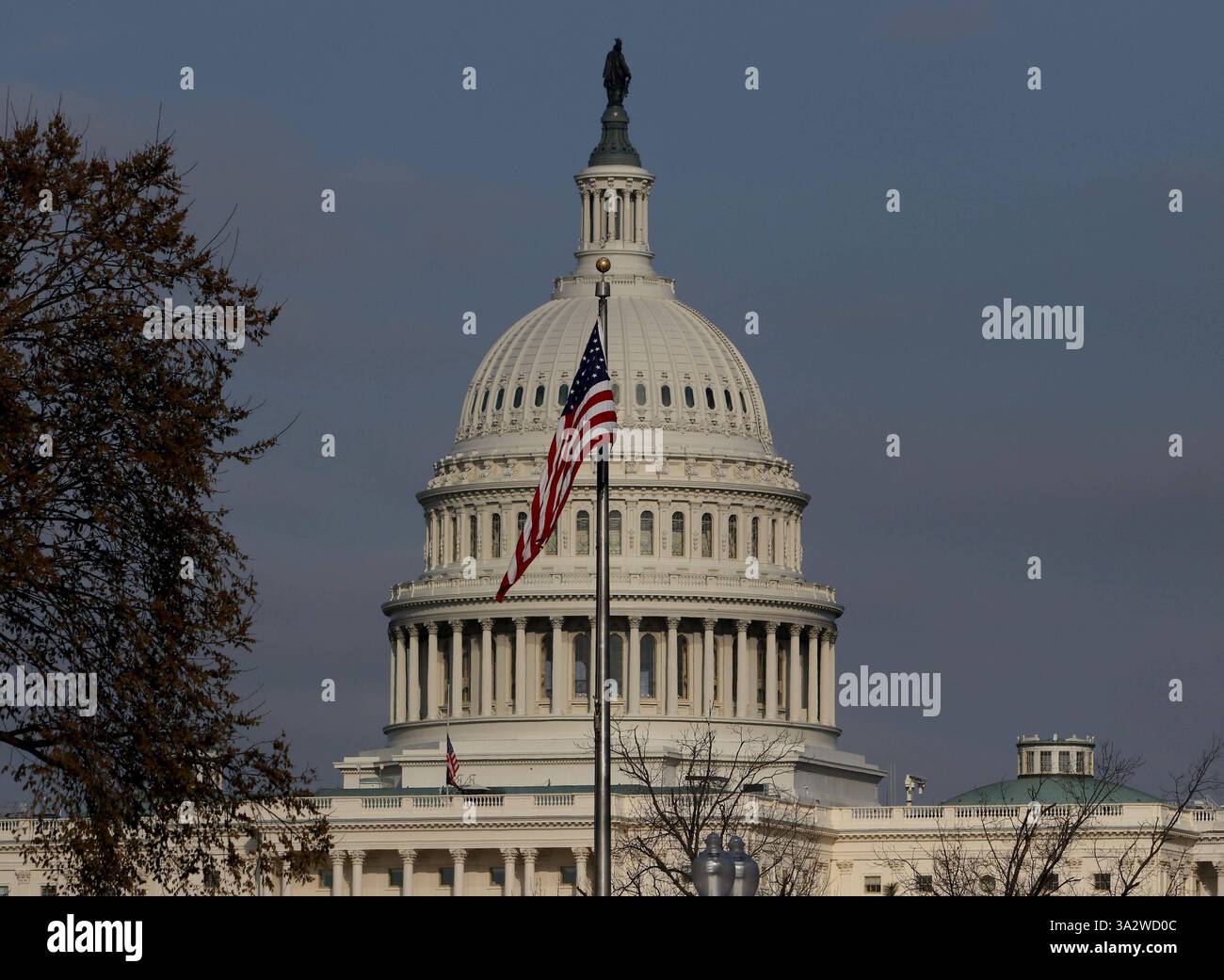 US Capitol in Washington, DC - 13 Mar 2025 A U.S. flag waves in front ...
