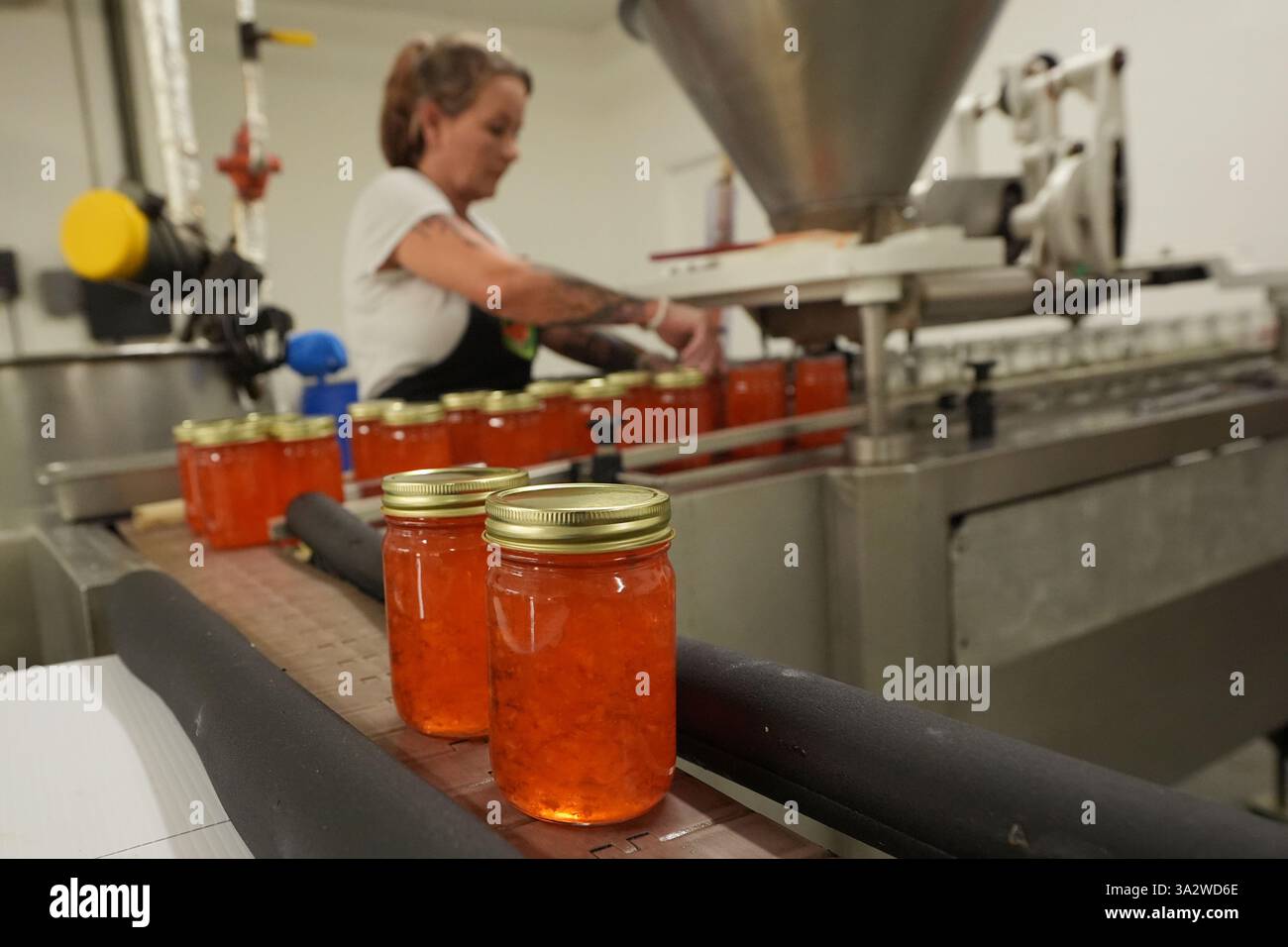 An employee at the Davidson of Dundee Citrus Candy and Jelly Factory ...