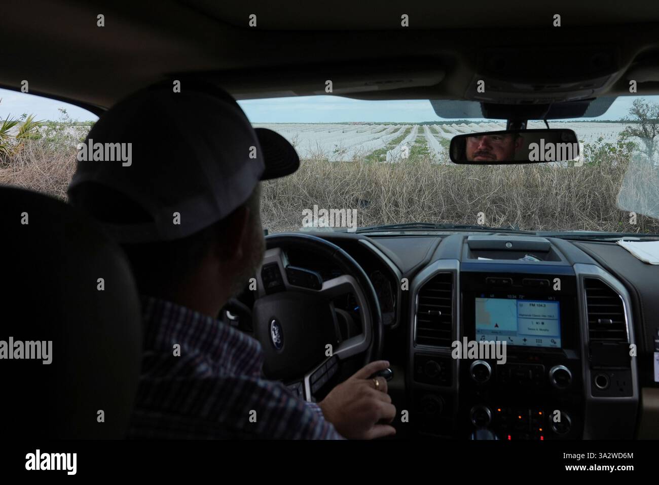 Trevor Murphy drives through his orange grove which is adjacent to a ...