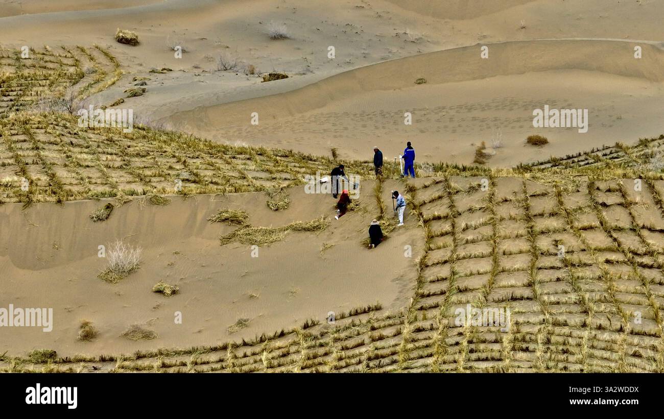 Zhangye, China. 13th Mar, 2025. ZHANGYE, CHINA - MARCH 13, 2025 ...