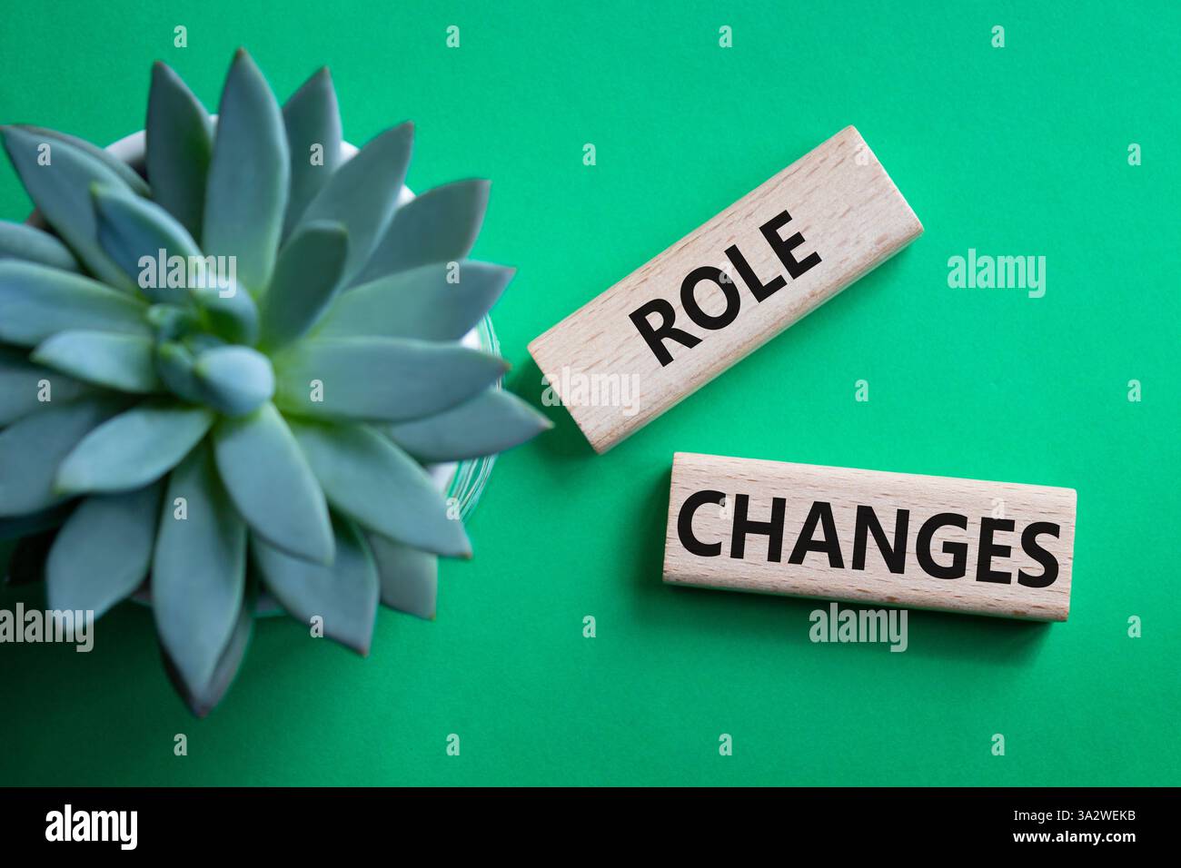 Role changes symbol. Concept words Role changes on wooden blocks ...
