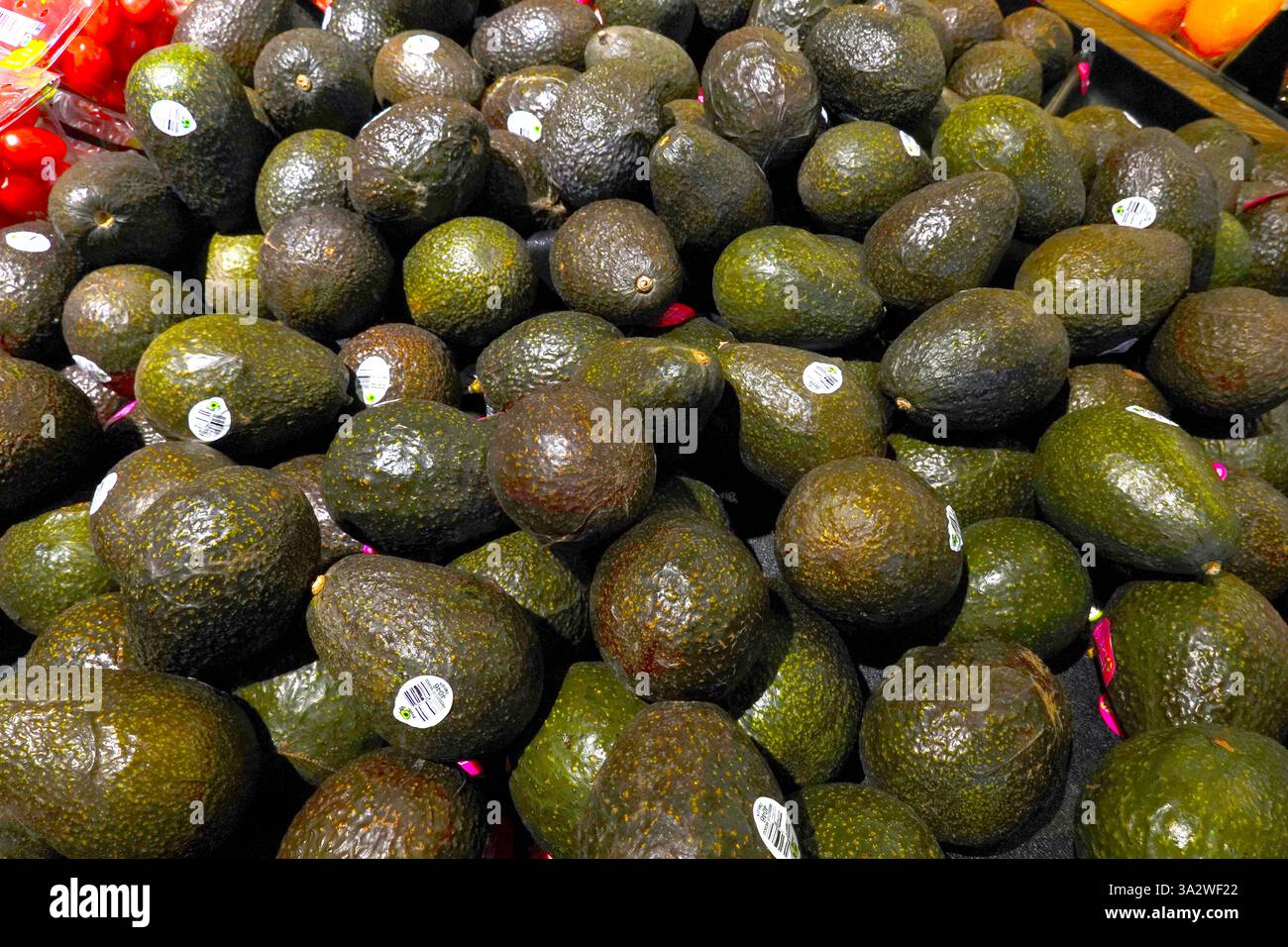 Persea ameriana hi-res stock photography and images - Alamy