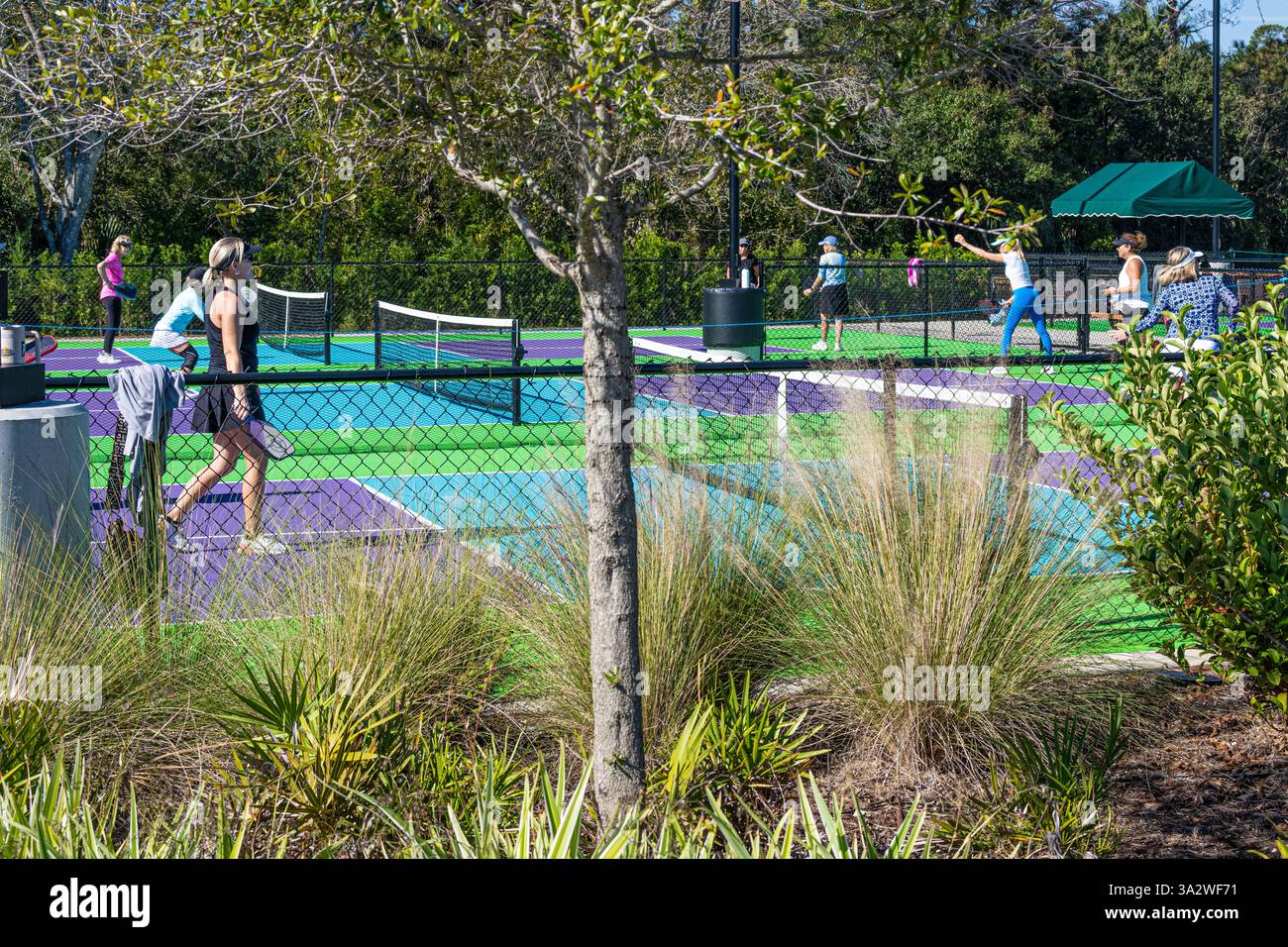 Sawgrass pickleball court hi-res stock photography and images - Alamy