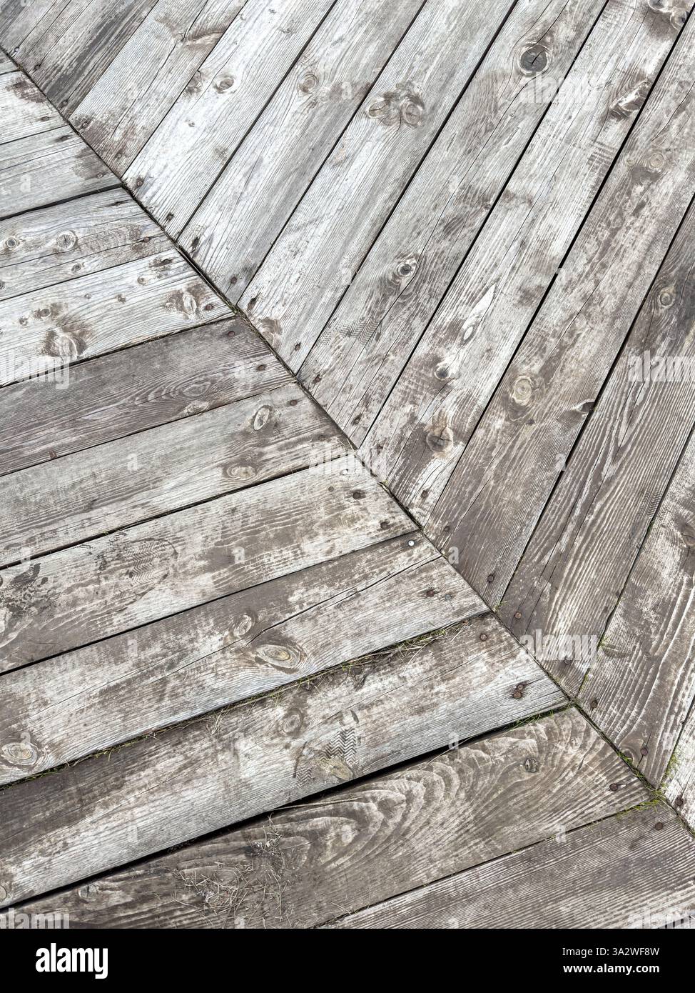 gray wooden planks texture with natural patterns. weathered background ...