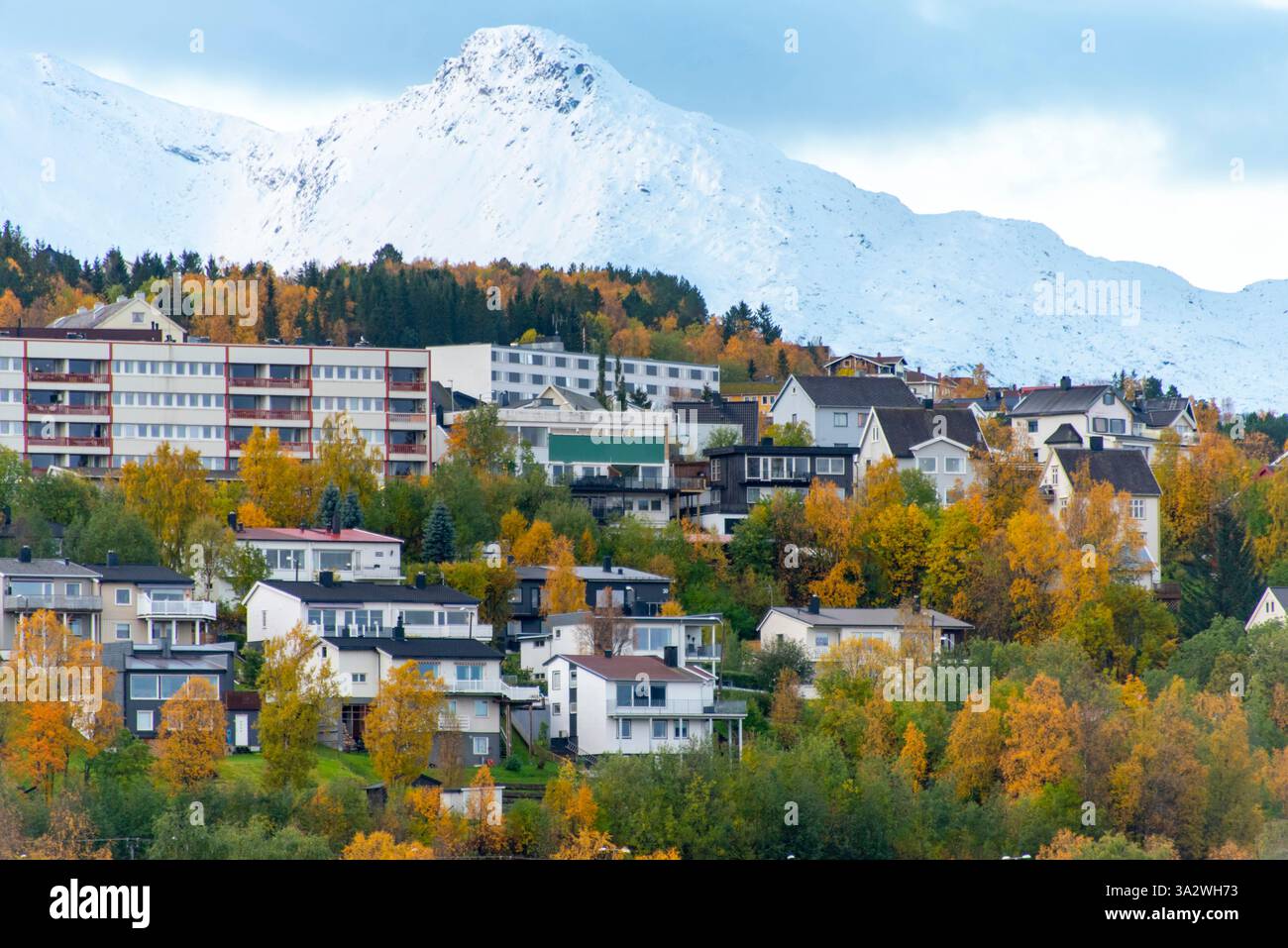 Town of Narvik - Norway Stock Photo - Alamy