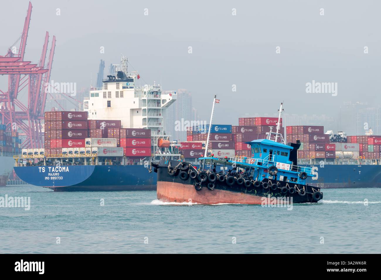 Hong Kong. China- 02.18.2025. A container cargo vessel loaded with ...