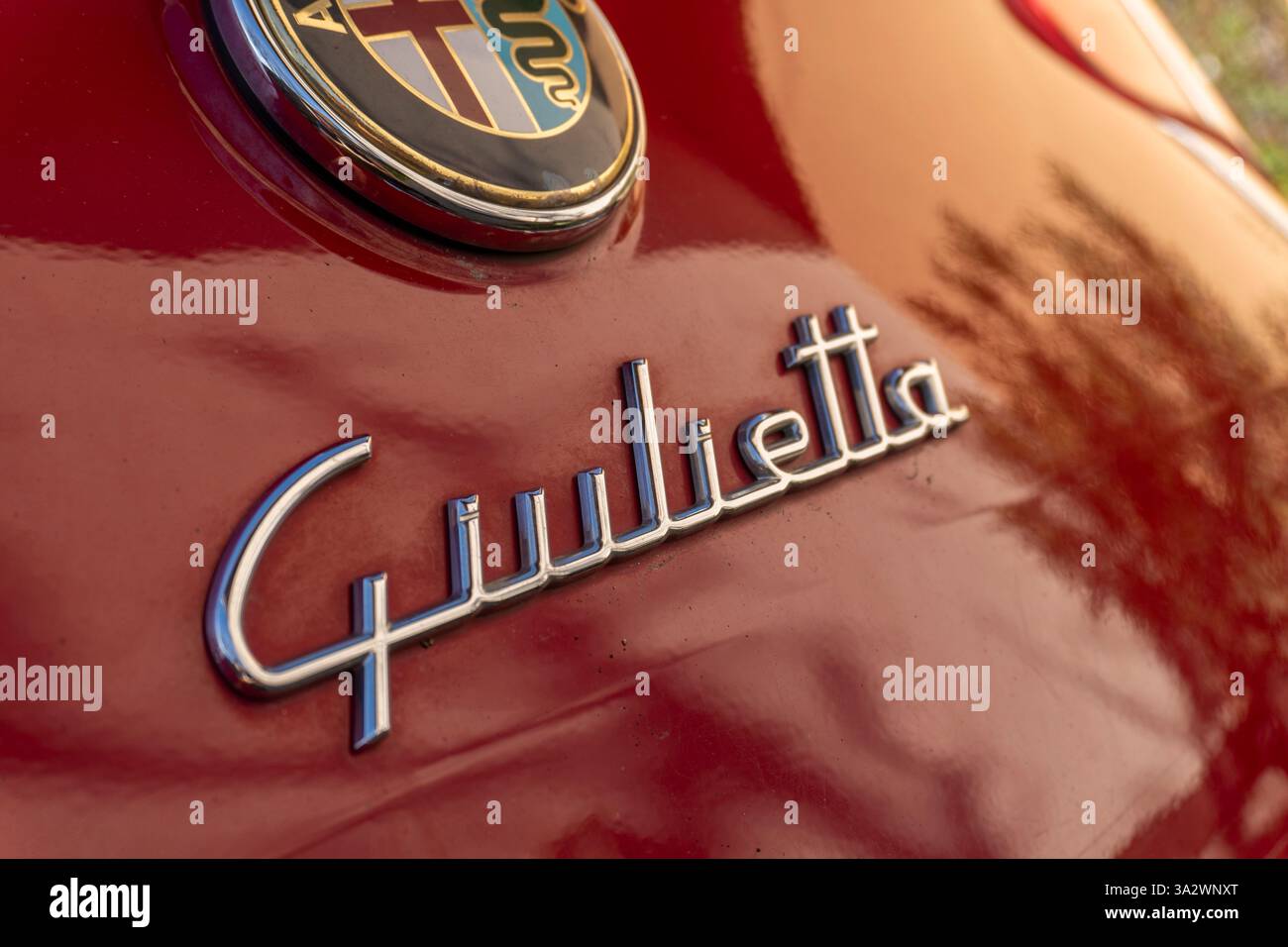 A close-up view of an Alfa Romeo emblem featuring intricate designs in ...