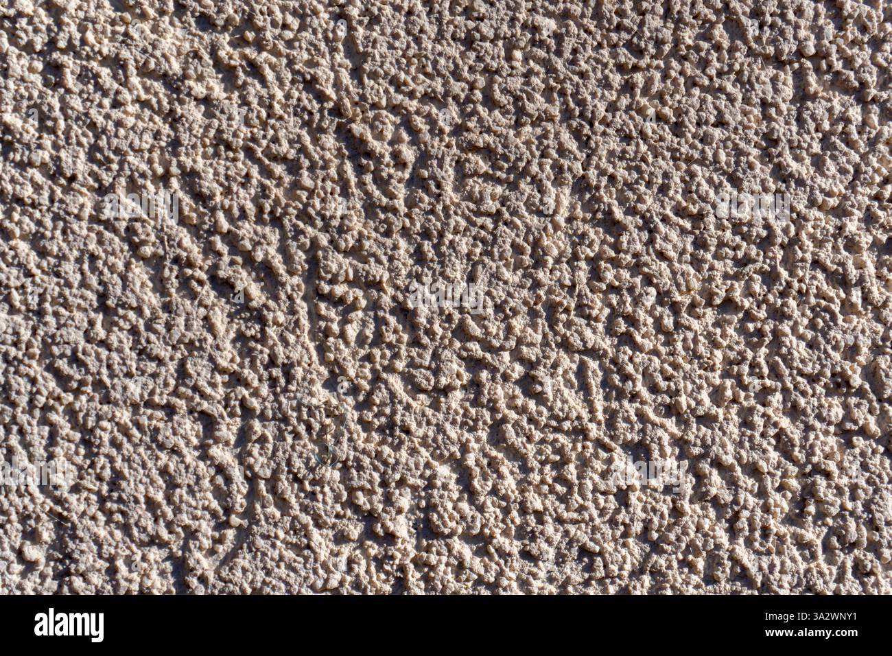 Close-up view of a textured wall surface with rough plaster showing ...