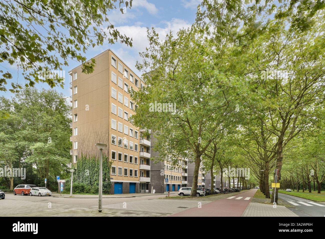 A contemporary apartment building stands tall beside a tree-lined ...