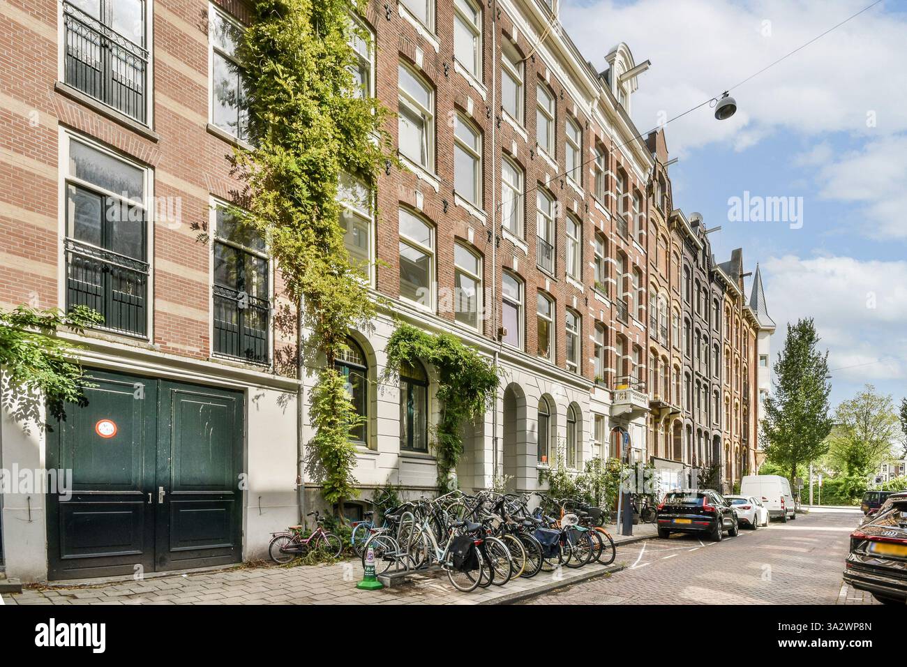 A charming street in Amsterdam featuring lush greenery, traditional ...