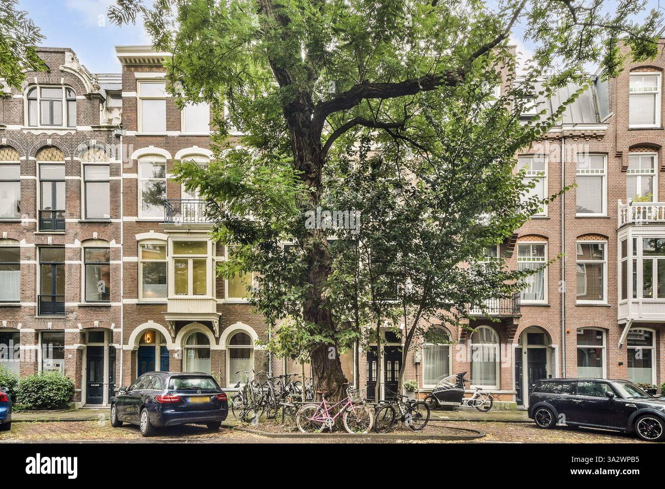 Elegant row of historic buildings framed by trees, showcasing unique ...