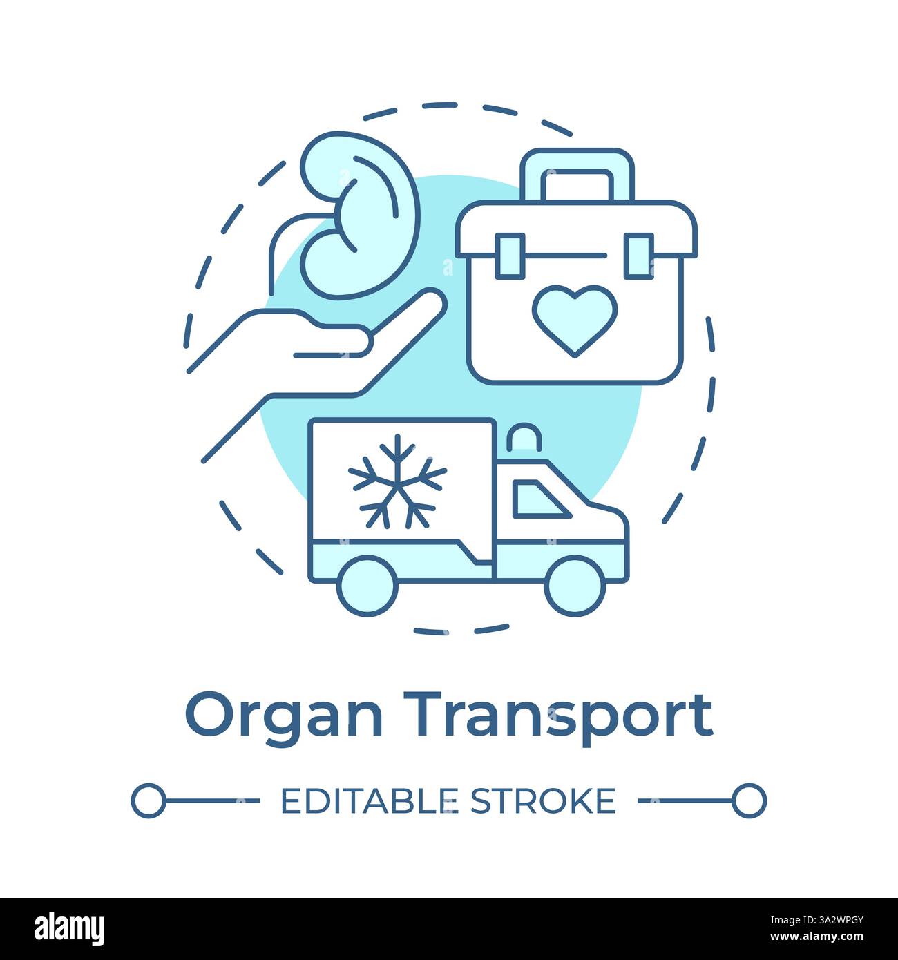 Donor organ transport hi-res stock photography and images - Alamy