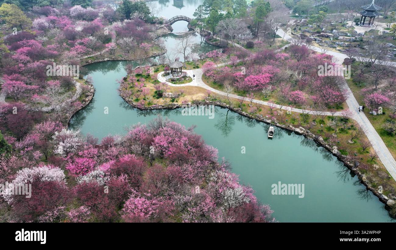 Aerial photo shows the spring scenery of the Slender West Lake scenic ...