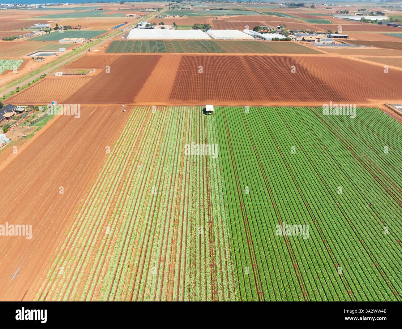 Aerial view of patterns and rows of produce planted in a market garden ...