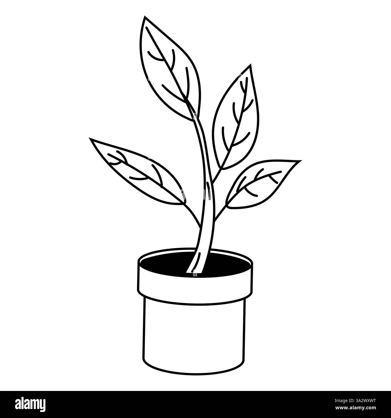 Plant growing in a pot illustrating nature and growth concepts in ...