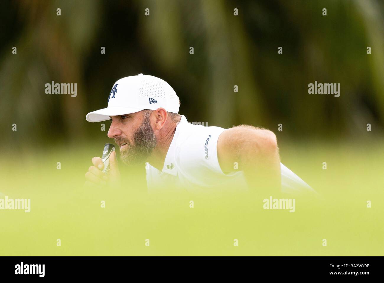 Captain Dustin Johnson of 4Aces GC lines up his putt on the 14th green ...