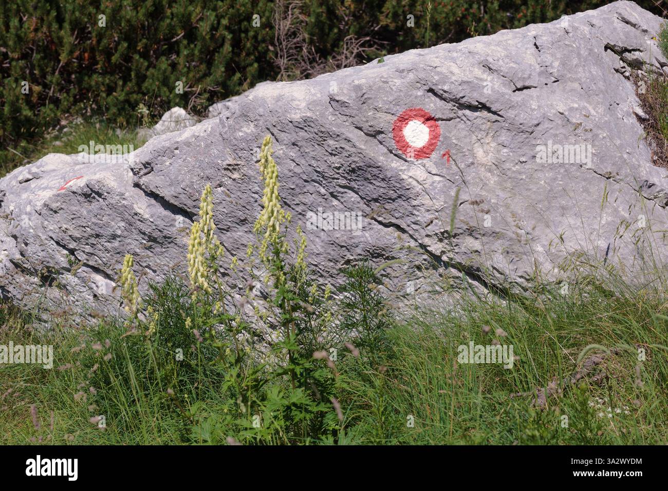 Red white tourist sign marking symbol on a mountain path on a rock, in ...