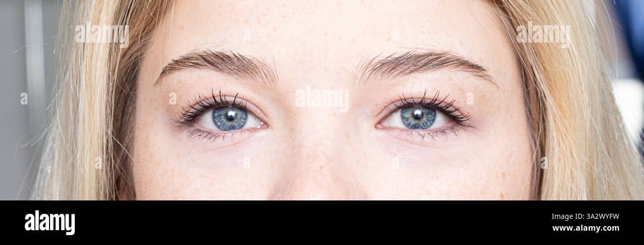Close-up of beautiful blue eyes and perfect eyebrows of young woman ...