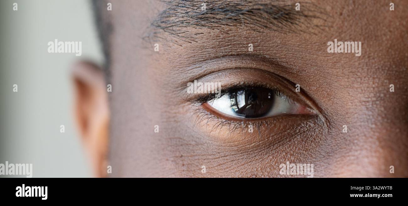 Exploring the intricacies of sight and observation through a detailed ...