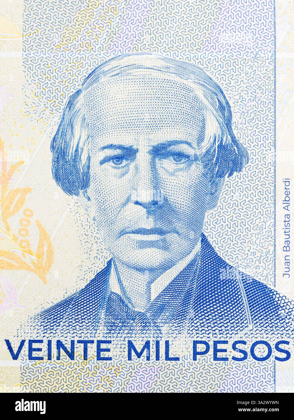 Juan Bautista Alberdi a portrait from Argentine money - pesos Stock ...