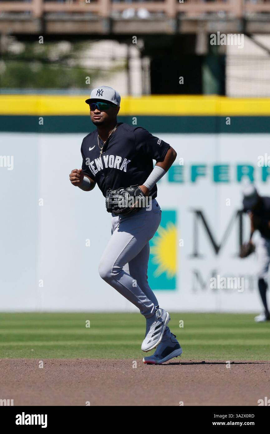 BRADENTON, FL - MARCH 11: New York Yankees shortstop Roderick Arias (84 ...