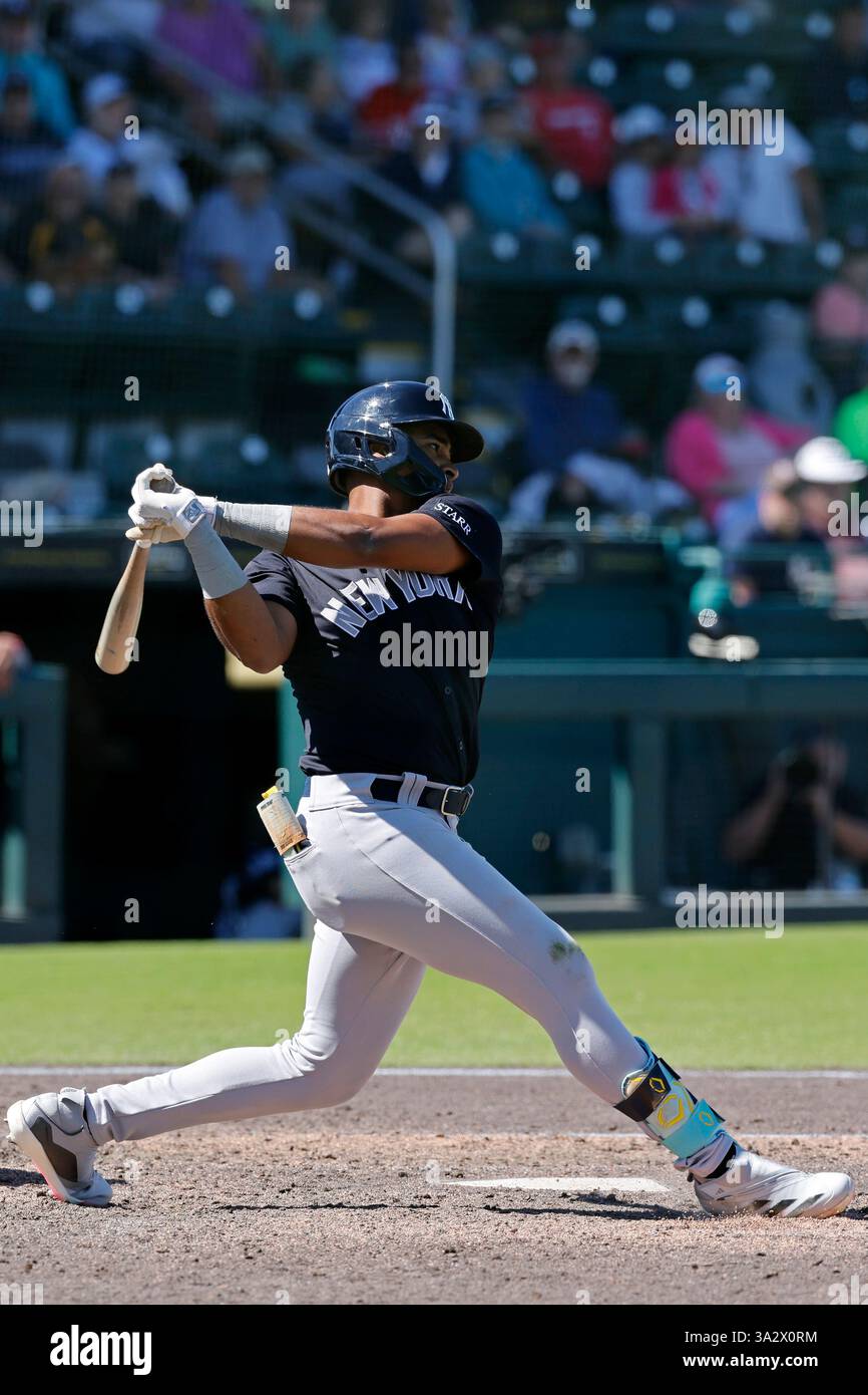 BRADENTON, FL - MARCH 11: New York Yankees shortstop Roderick Arias (84 ...