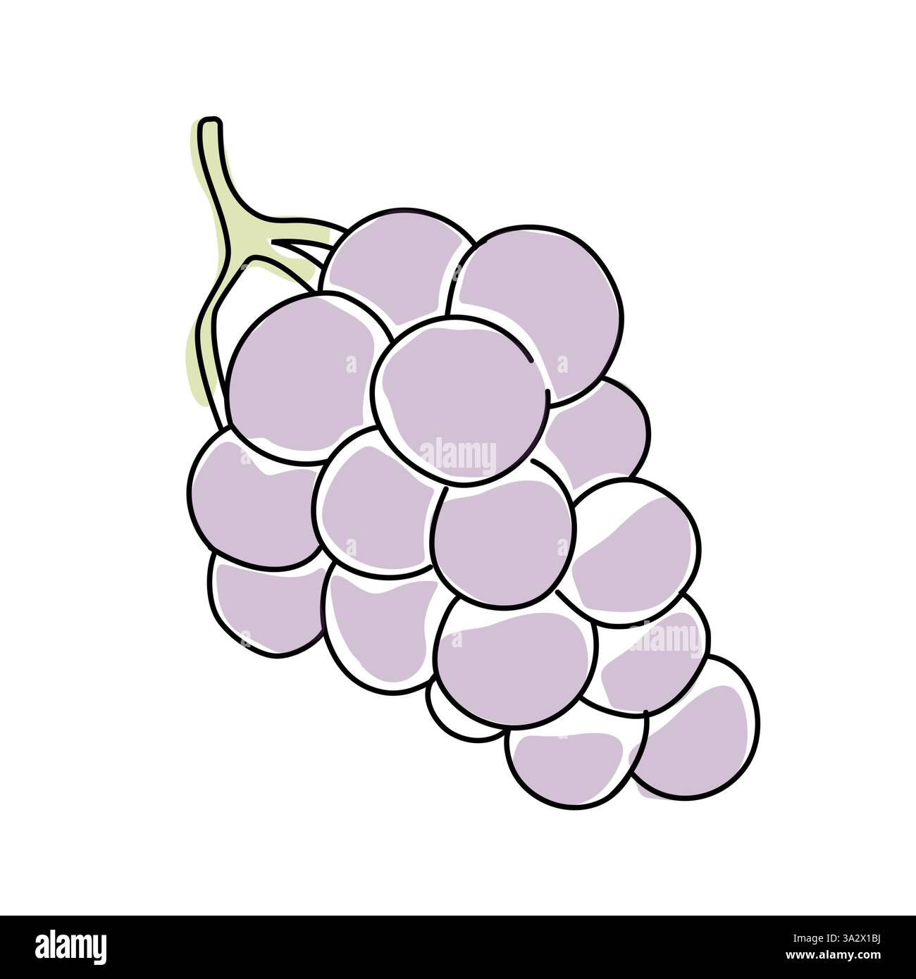 Grapes cluster hanging from vine with green leaf in simple cartoon ...