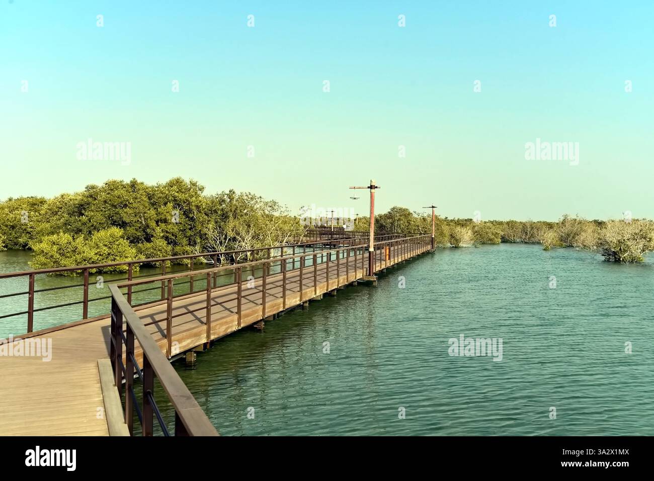 Abu Dhabi, United Arab Emirates – March 02, 2025, the view of the ...