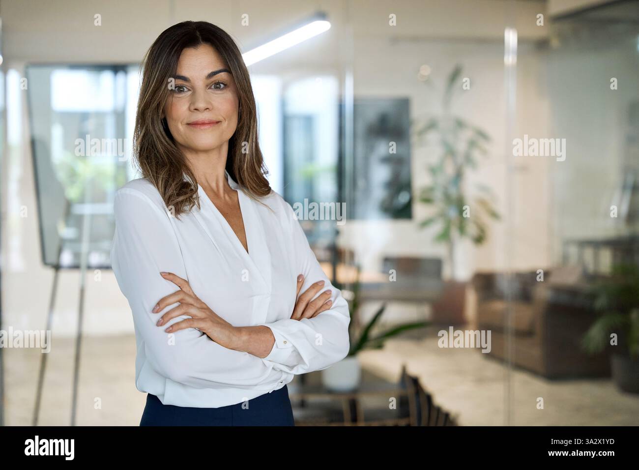 Middle aged professional business woman standing in office, portrait ...