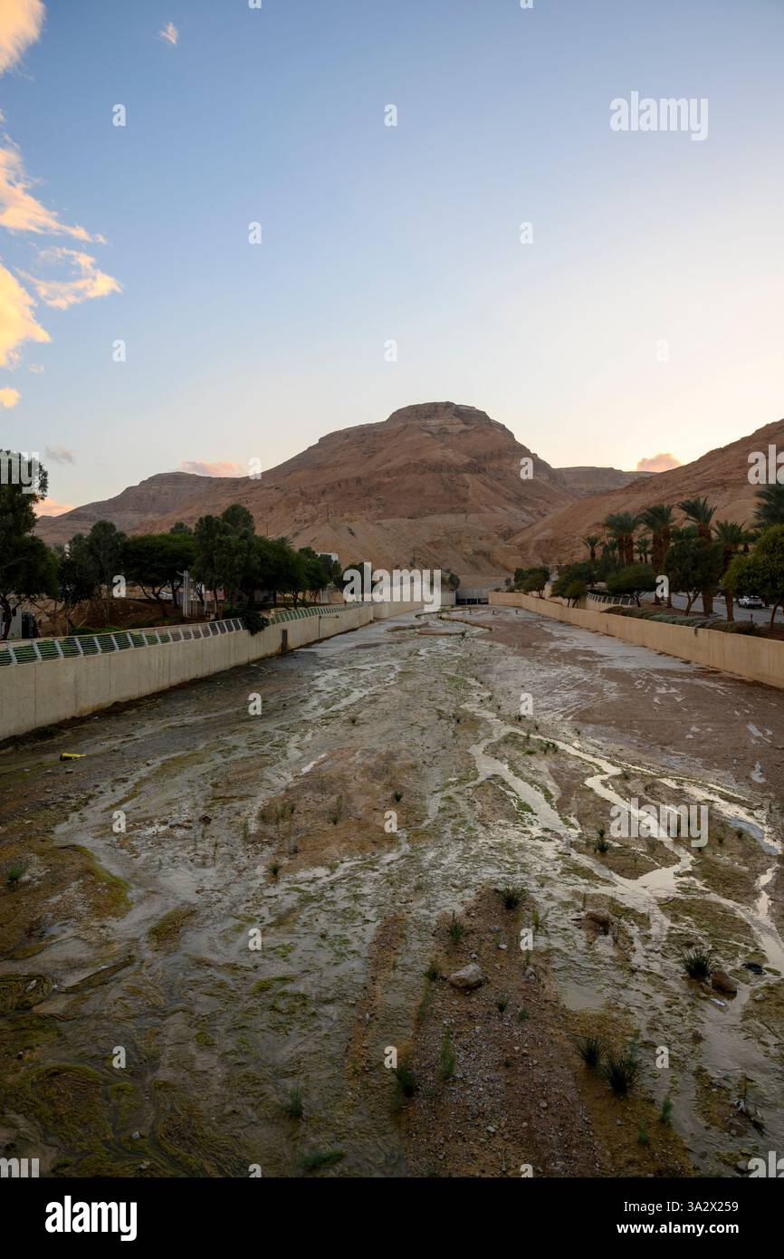 the Bokek stream as it trickles into the Dead Sea, Israel The water ...