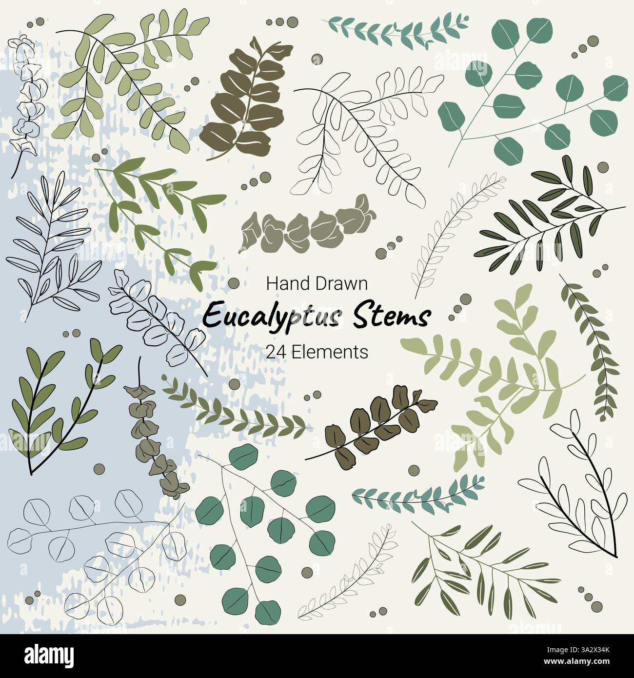 Eucalyptus botanical plant organic hand drawn vector design elements ...