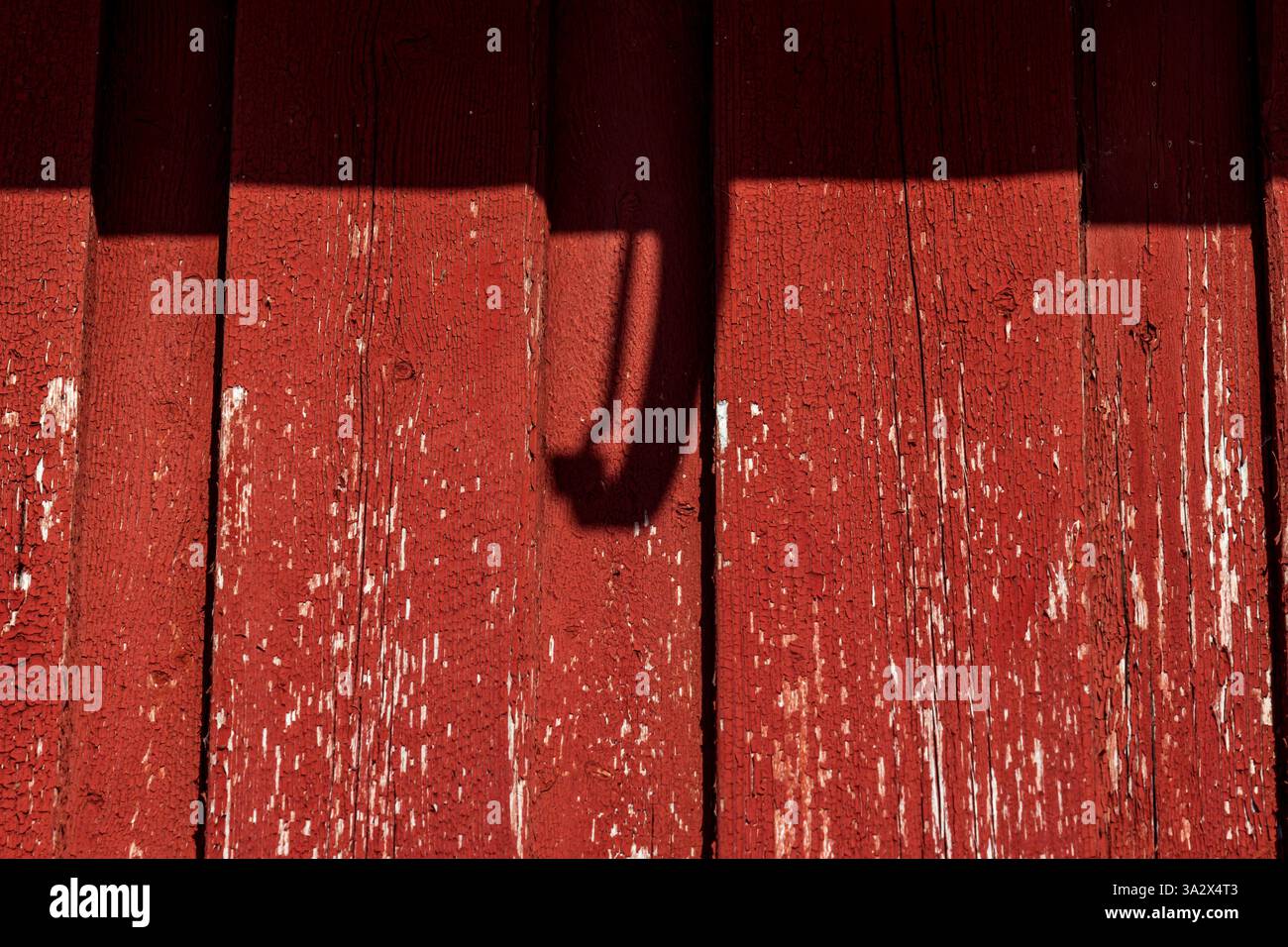 A shadow of a gutter support lingers on weathered red planks, where ...