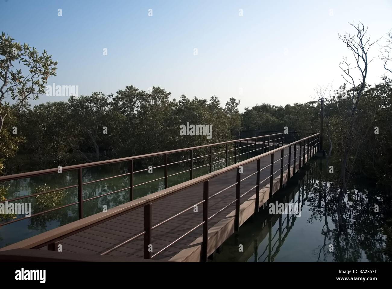 Abu Dhabi, United Arab Emirates – March 02, 2025, the view of the ...