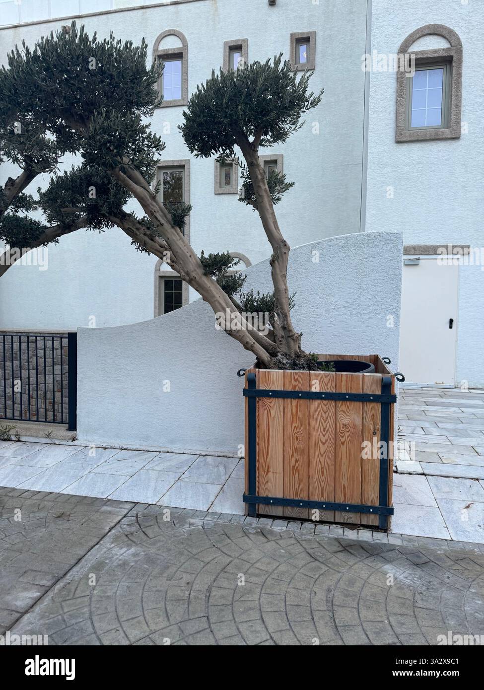 Unique architectural design featuring a tree growing from a wooden ...
