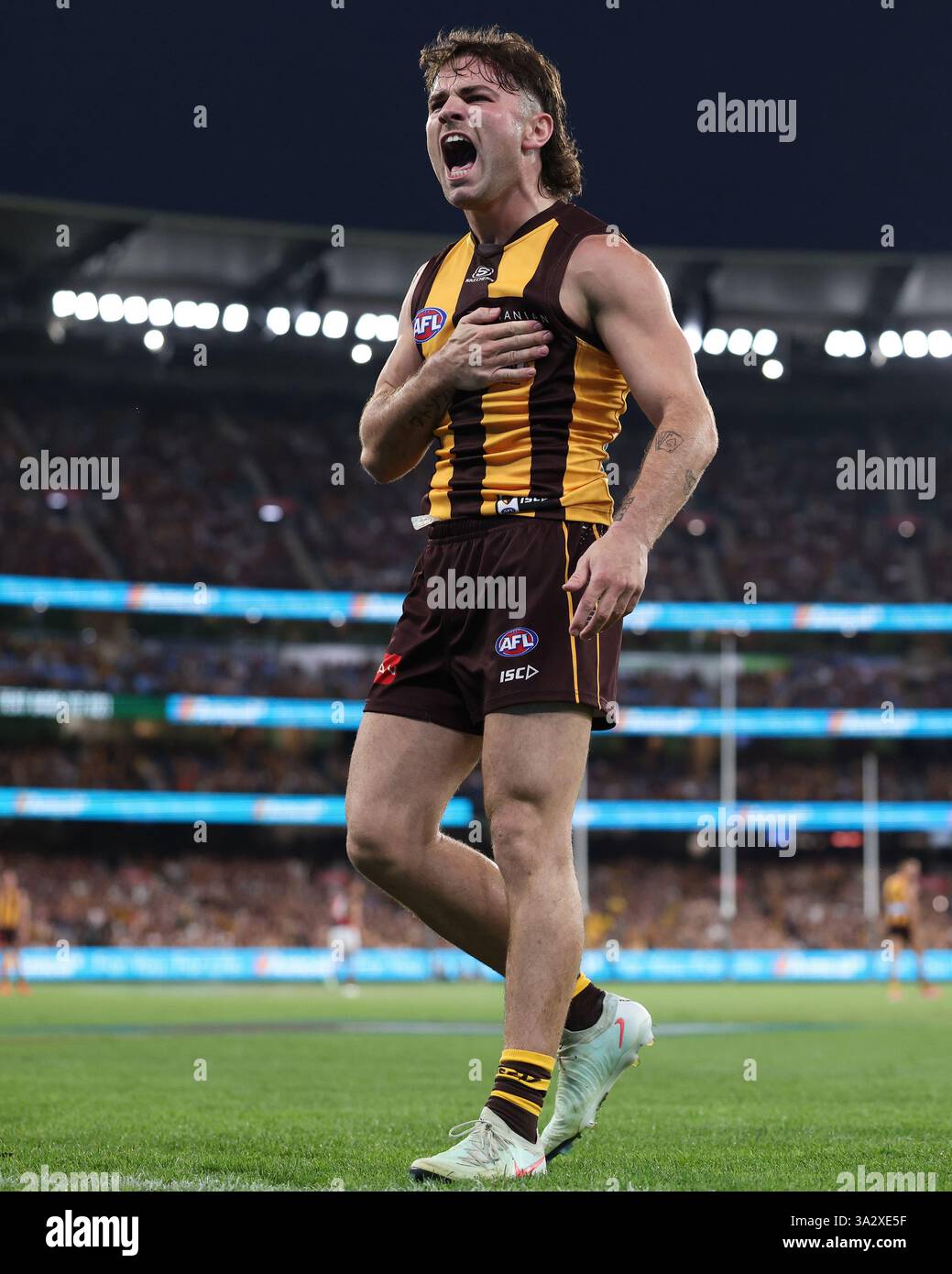 Nick Watson of the Hawks celebrates kicking a goal during the AFL Round ...