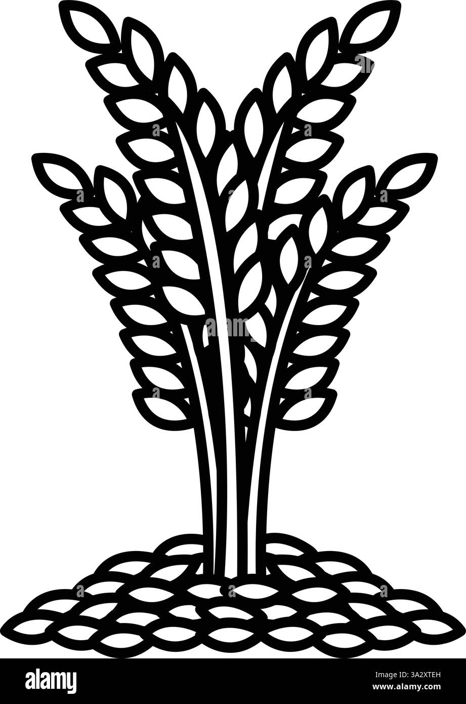 Rice on ground Stock Vector Images - Alamy