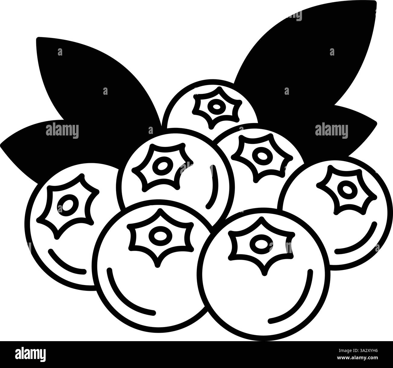 Close up fresh fruit berries Stock Vector Images - Alamy